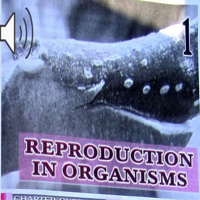 reproduction in organism class xii | PDF
