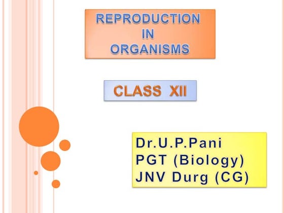Ecosystem:Structure and Function | PPTX