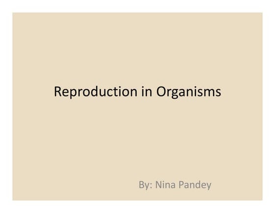 Philodina | PPT