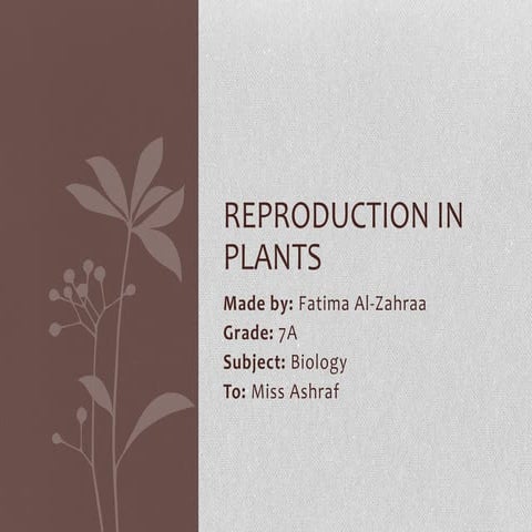 Reproduction in plants, biology, IG | PPTX