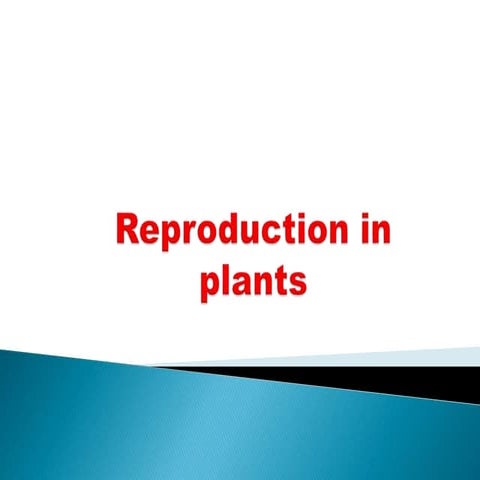 Reproduction in plants | PPTX