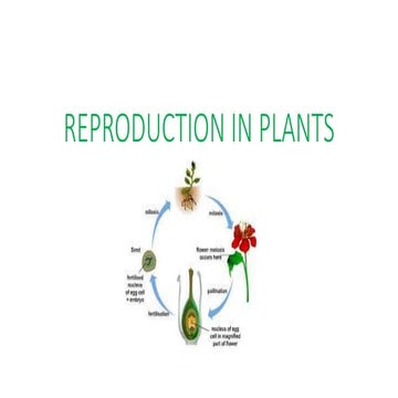 Reproduction in plants | PPTX | Gardening | Home & Garden