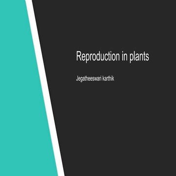 Reproduction in plants | PPTX