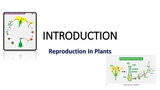Reproduction in plants for grade 5 | PPT