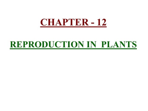 Reproduction in plants | PPTX | Infertility | Reproductive Health