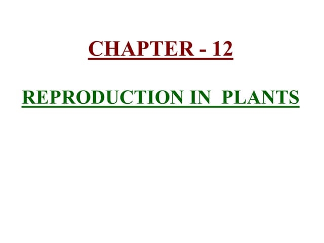 Reproduction in plants | PPTX