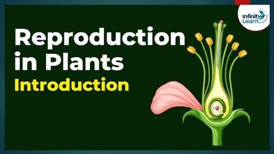 POLLINATION :Biology Investigatory project | DOCX