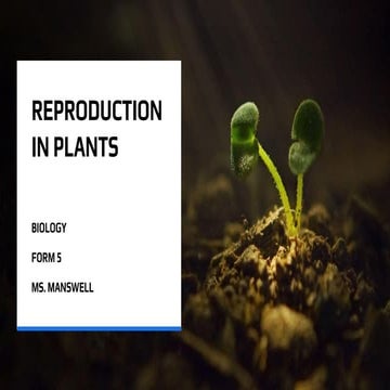 REPRODUCTION IN PLANTS ppt. class 7.pptx