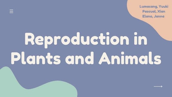 Reproduction Reproduction Reproduction Reproduction | PPT