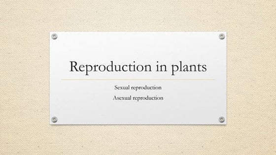 Biology - Chp 22-25 - Plants - Study Guide | PDF