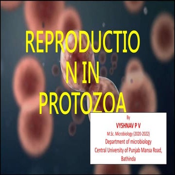Reproduction in protozoa | PPTX