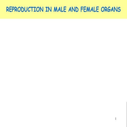 REPRODUCTION MALE AND FEMALE ORGANS..pptx