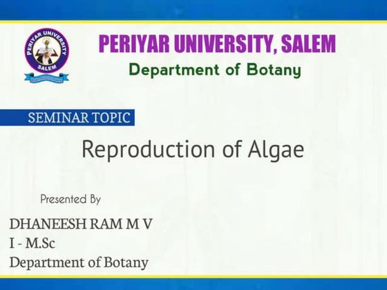 Mycology presentation (phycomycetes) | PPT