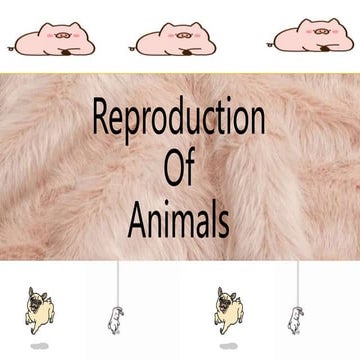 Reproduction of Animals Earth and Life Science.pptx