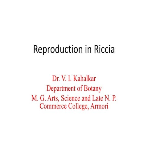 Riccia thallus structure and reproduction | PPTX