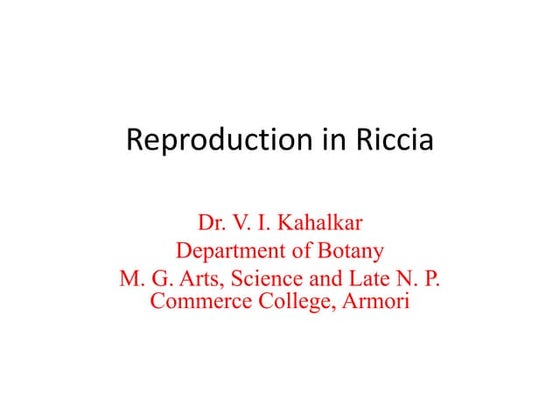 Riccia thallus structure and reproduction | PPT