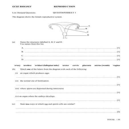 Reproduction in Animals Revision Questions | PDF