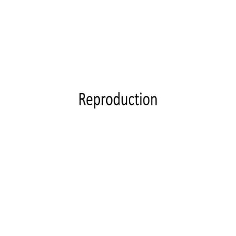 Reproduction review lesson | PPTX