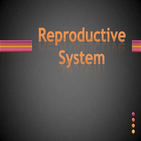 Reproduction system | PPTX | Pregnancy | Reproductive Health