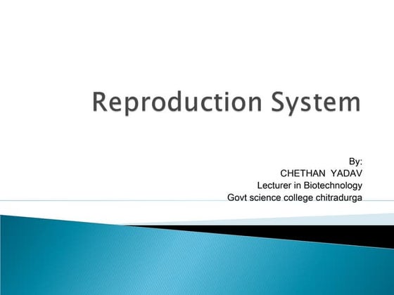 HUMAN REPRODUCTION .pptx class XII Biology | PPTX | Infertility ...