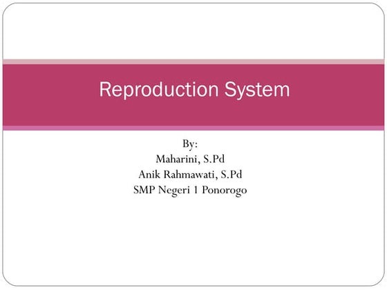 Natural Sciences Grade 9 Human reproduction | PPT