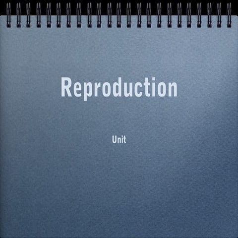 Reproduction unit | PPT
