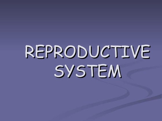 Grade 10 Bio Male reproductive system | PPTX | Infertility ...
