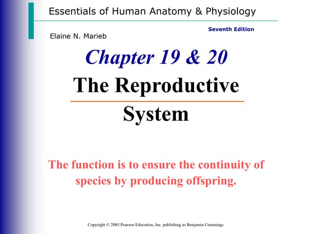 human reproduction systems elementary school | PPTX