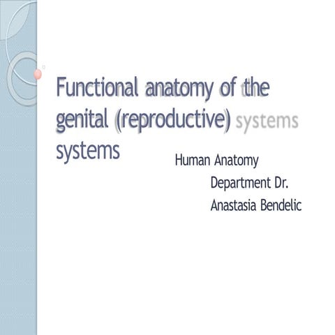 Reproductive-organs anatomy 1st year .pptx