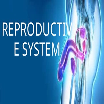 HUMAN REPRODUCTIVE-SYSTEM-Grade 10 4th quarter.pptx