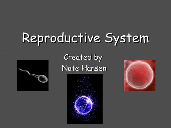 Reproductive system 6º grade | PPT