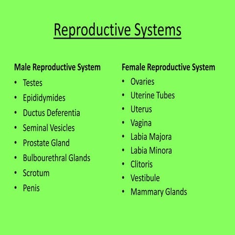 Reproductive Systems | PPT