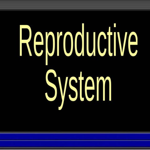 The Reproductive system (Basic Information)) | PPTX