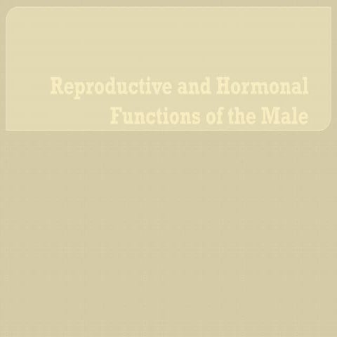 reproductiveandhormonalfunctionsofthemale-210530102855.pptx