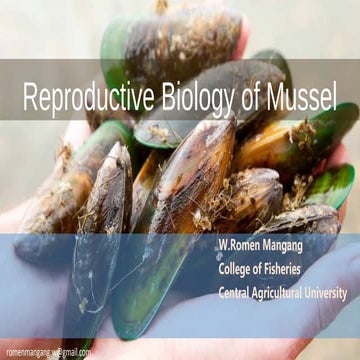 Reproductive biology of mussel | PPT