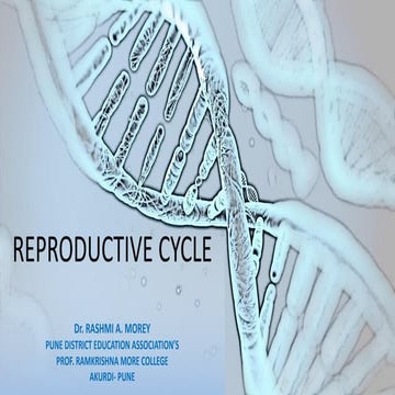 Reproductive cycle by Rashmi Morey pdf | PDF