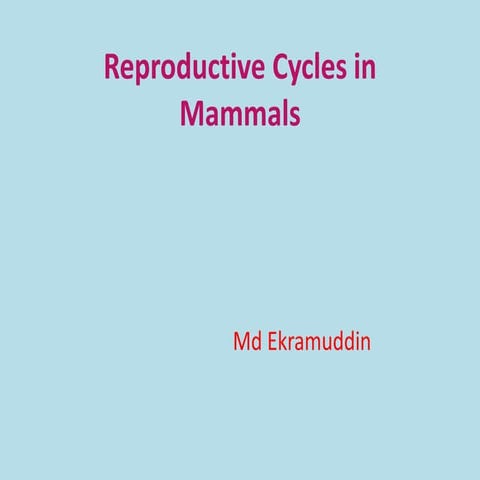 Reproductive cycles in mammals | PPTX