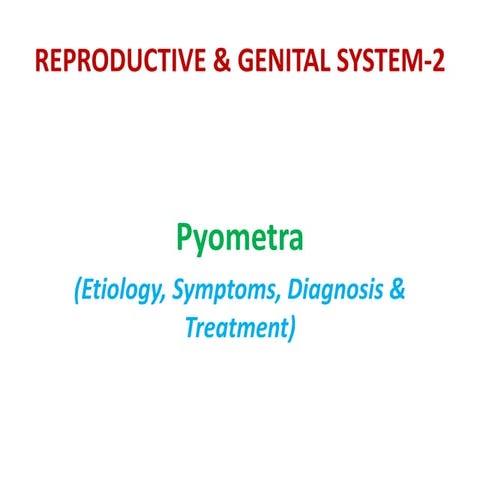 Reproductive & Genital Syst-2; Pyometra.pptx