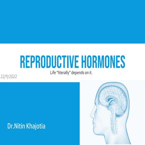 Reproductive Hormones | PDF