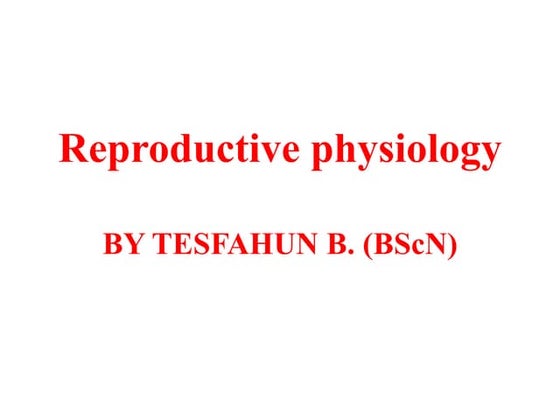 1and2 Male Reproductive Systemppt External Internal Ppt 5907