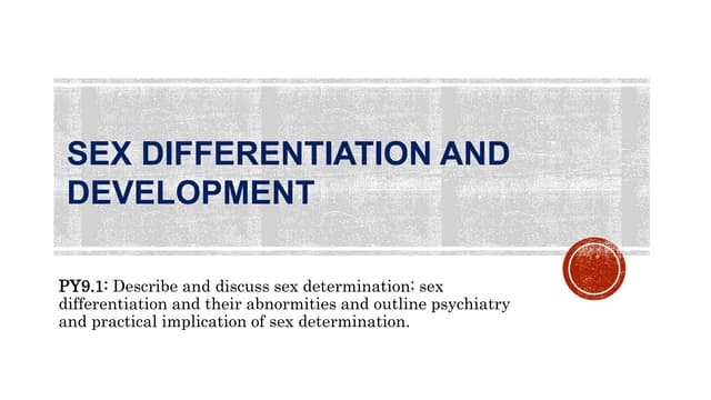 Sex Differentiation And Development Ppt