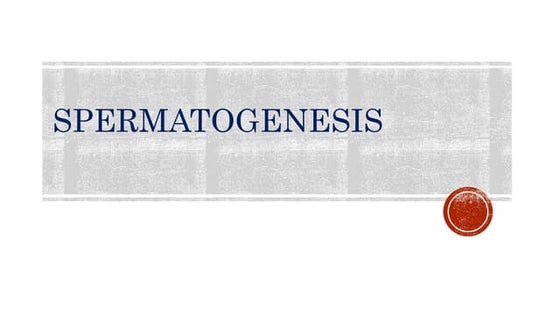 Spermatogenesis ppt.ppt