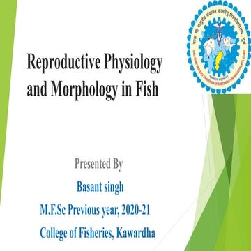 Fish Morphology | PPT