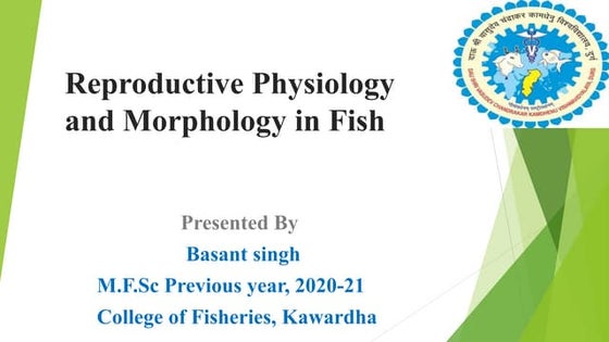 Internal parts of a fish and their functions | PPT