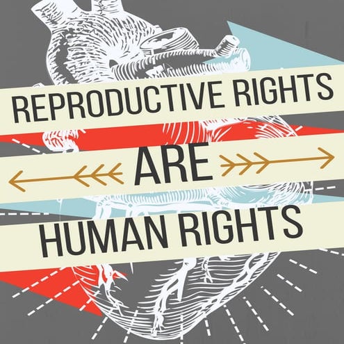Reproductive rights | PDF