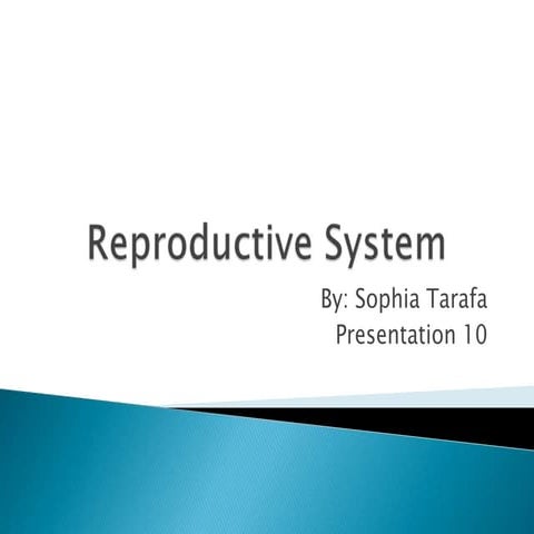 Reproductive system | PPT