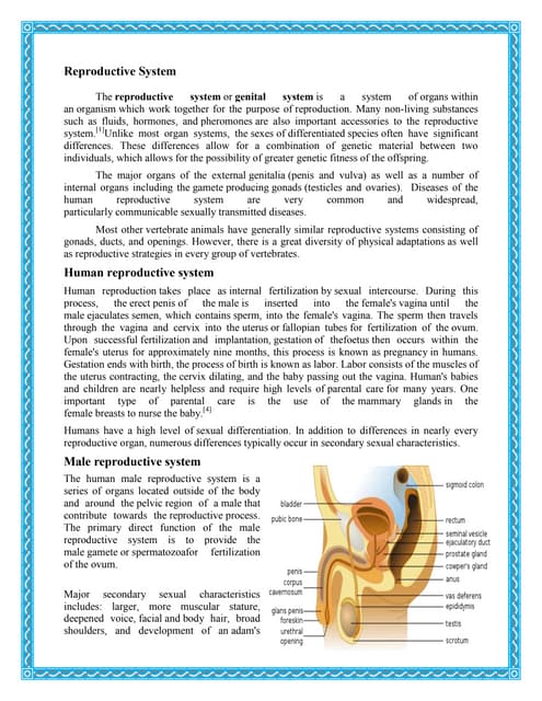 HEALTH (Physical Changes at Puberty) | PPT