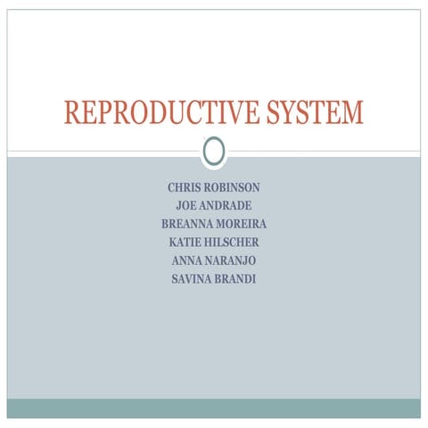 Reproductive system | PPT