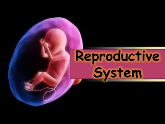 Reproductive system 6º grade | PPT