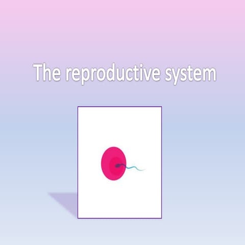 Reproductive system | PPTX